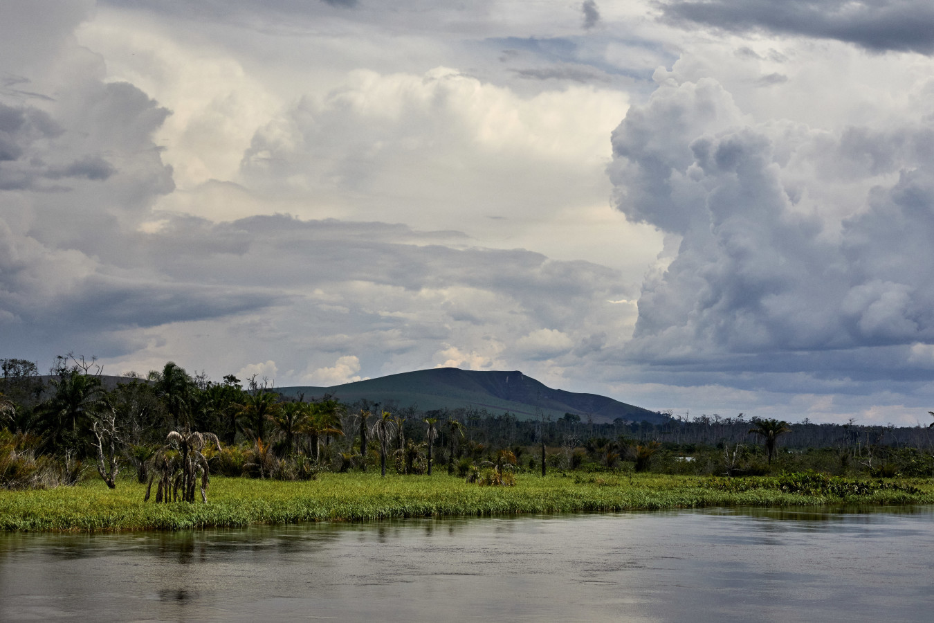 Cadre légal | Bois Congo